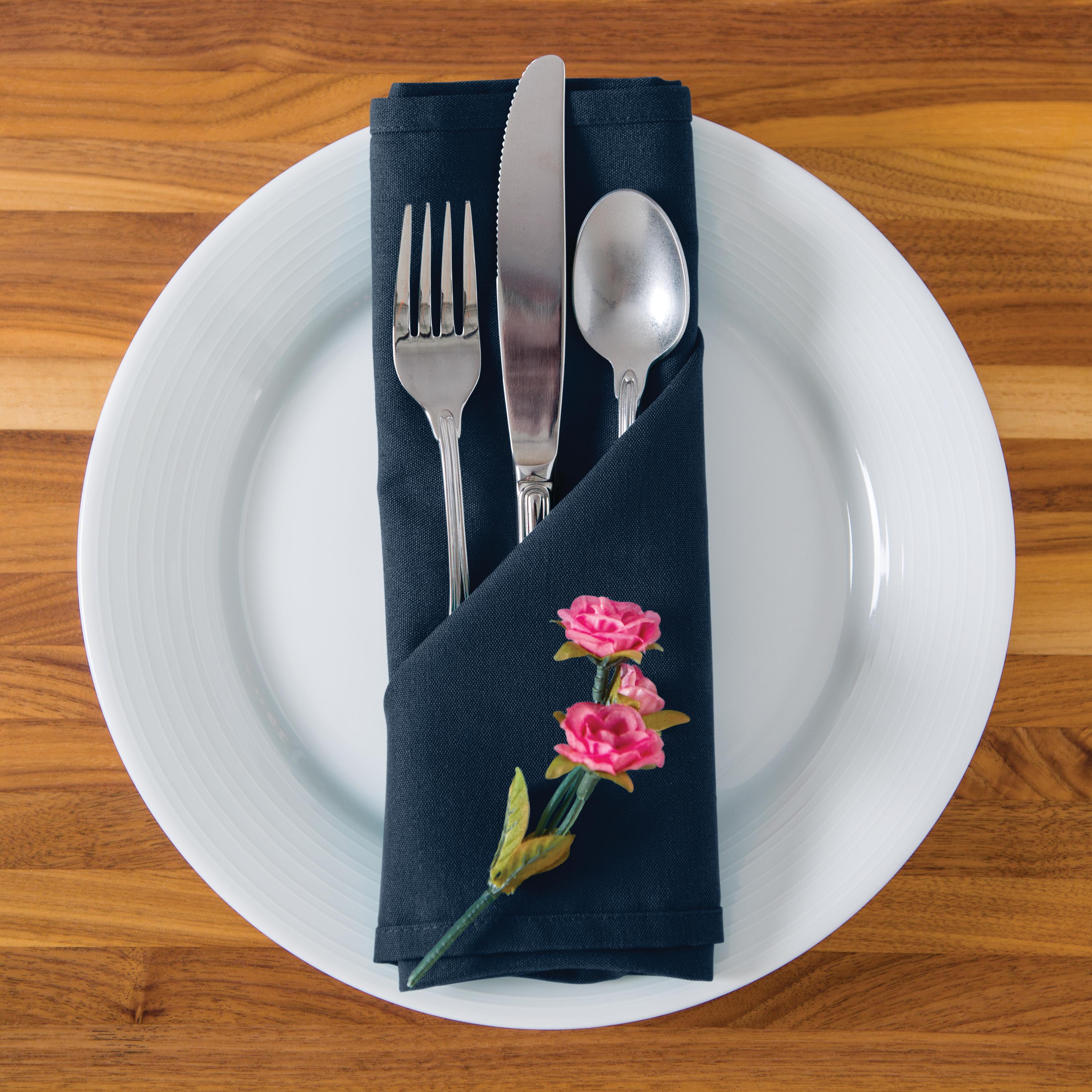 Direct Supply® Textiles Cloth Napkins, 21"W x 21"L, Colored, Case of 25 ...